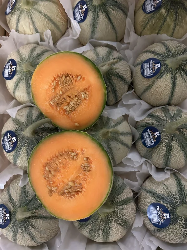 MELON - Marché Pernoud